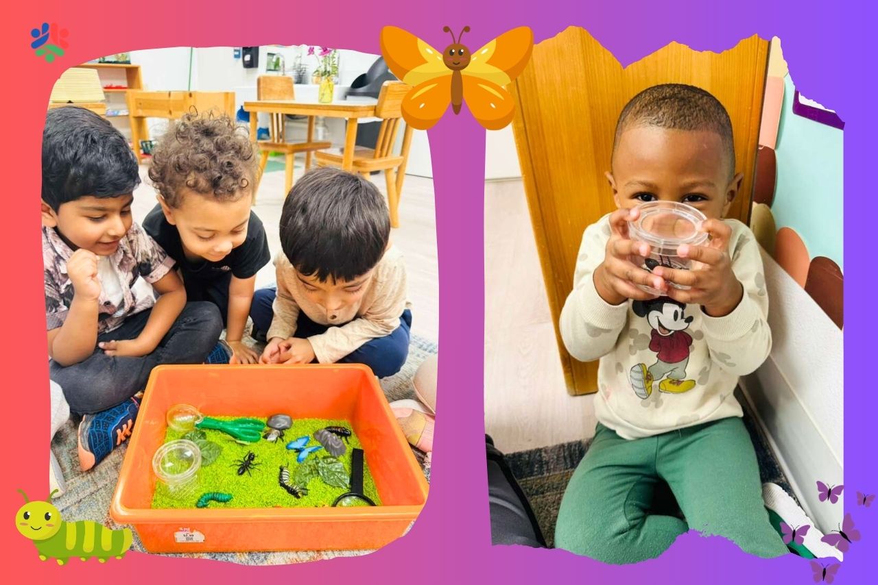 How an Insect Sensory Bin for Preschool Makes Learning About Bugs ...